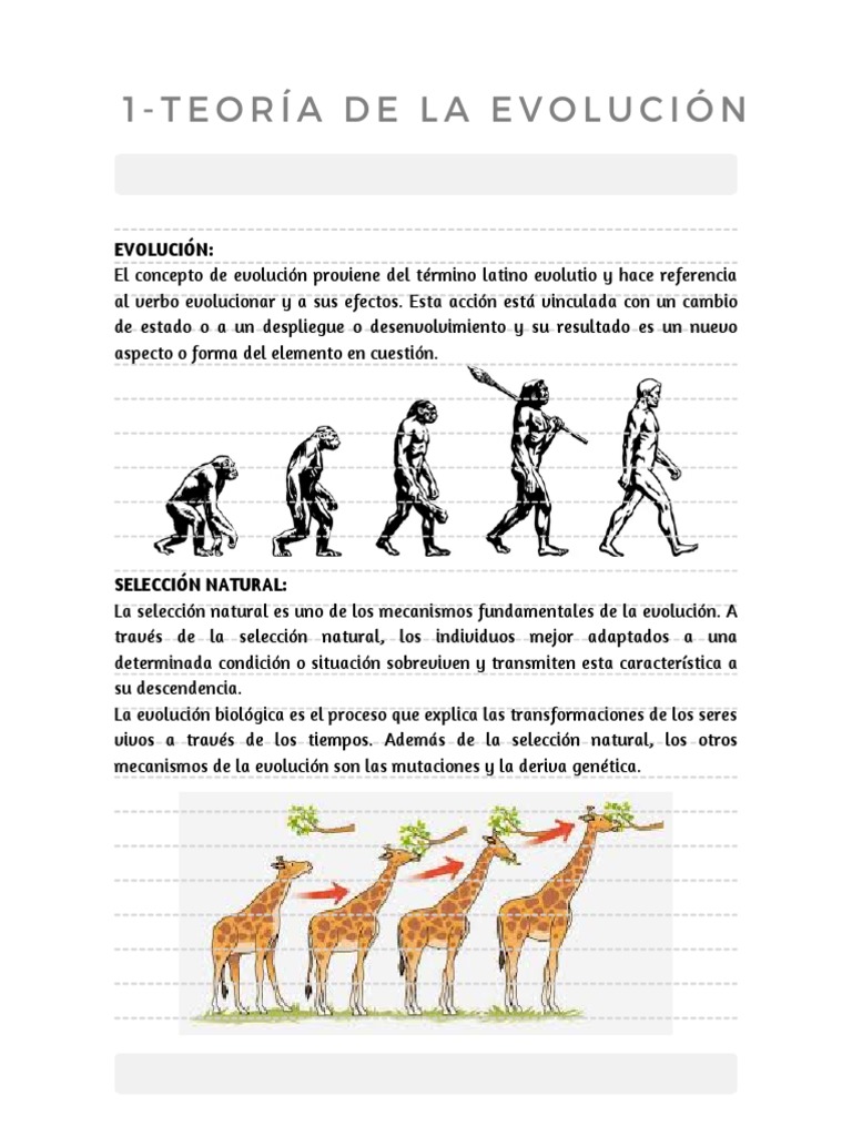 Teoría de La Evolución | PDF | Evolución | Creacionismo