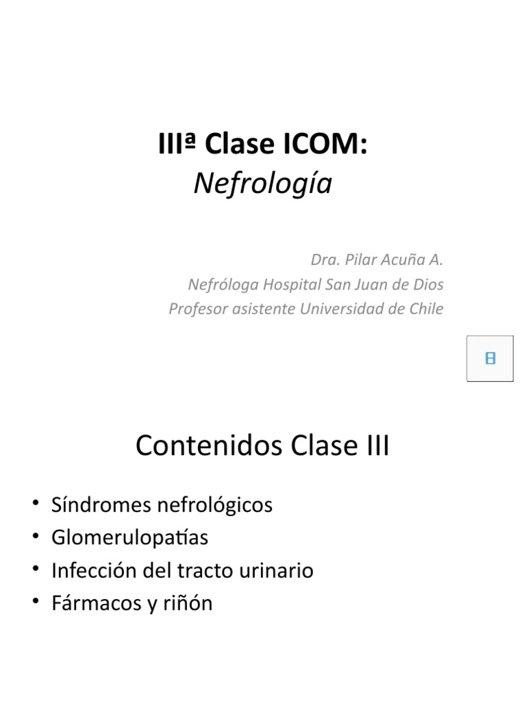 Clase 3. Nefro 3 (Glomérulo, ITU) | PDF | Órgano (anatomía) | Medicina ...