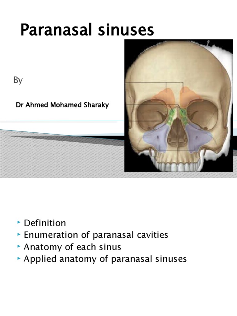 Paranasal Sinuses by DR Sharaky | PDF | Human Anatomy | Human Head And Neck