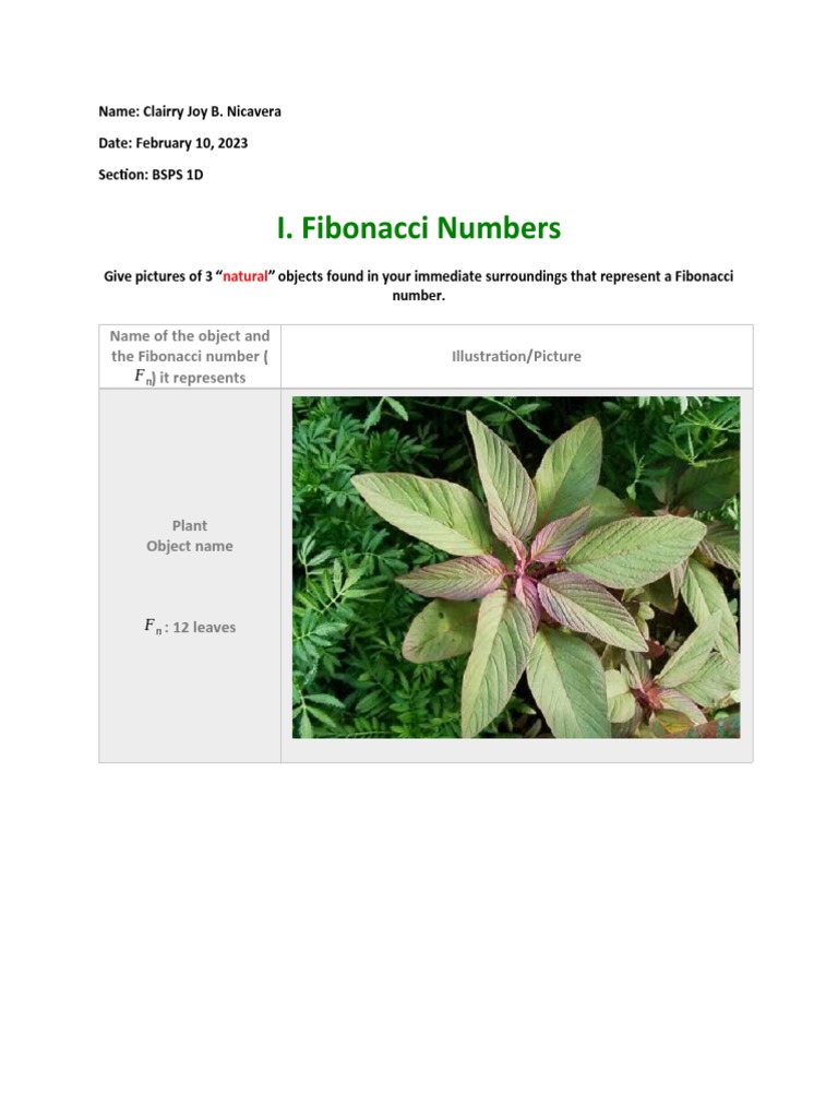 Golden Ratio Activity' | PDF | Beauty | Mathematics