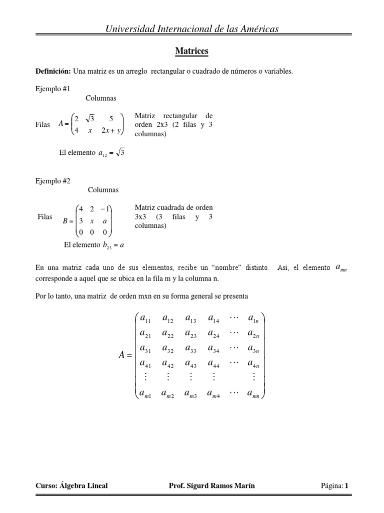 Tipos de Matrices | PDF | Matriz (Matemáticas) | Multiplicación