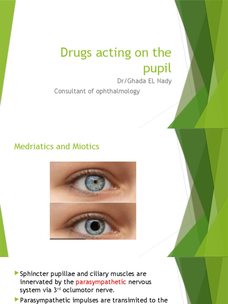 Drugs Acting On The Pupil | PDF | Acetylcholine | Neurochemistry