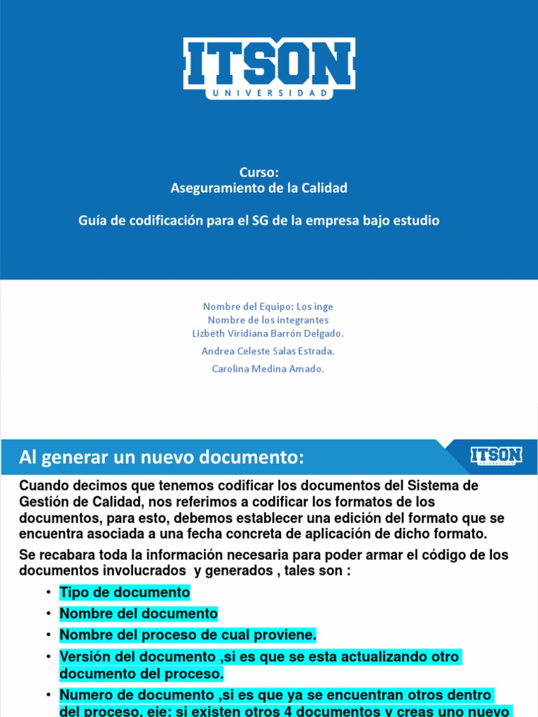 Guía de Codificación SG Empresa | PDF | Informática