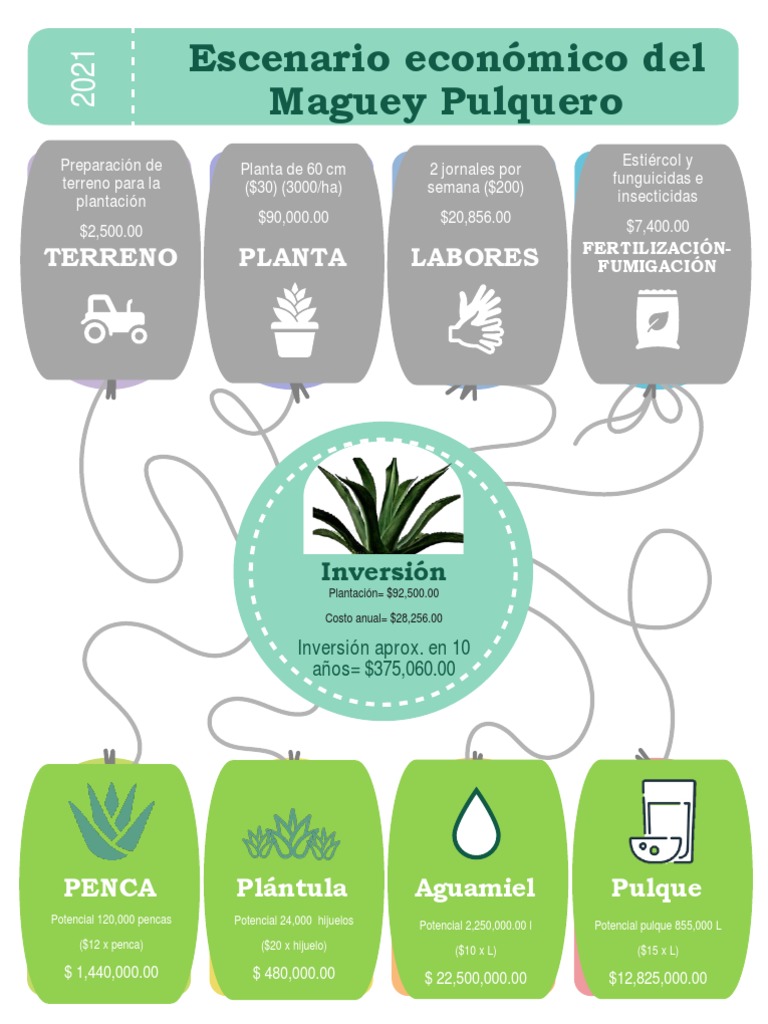 Valor Del Maguey | PDF