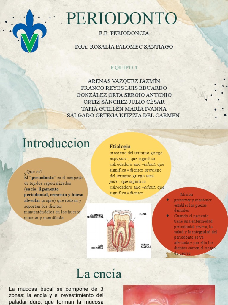 Periodonto Sano Tejidos de Soporte y Protección Del Diente | PDF ...