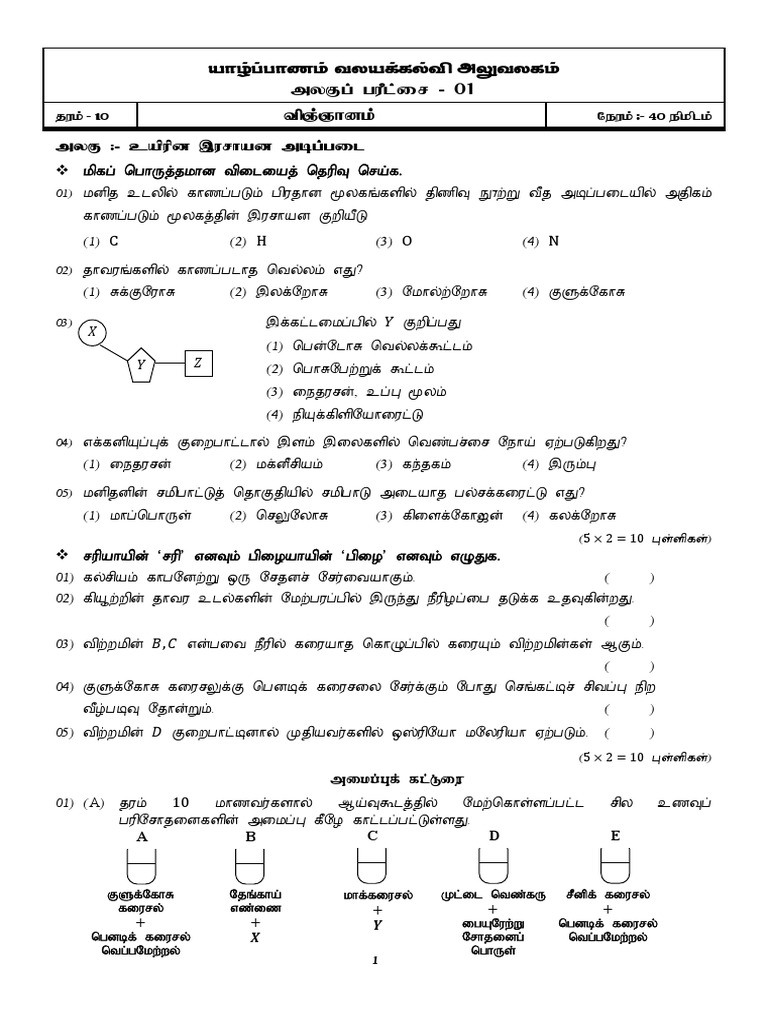 GR 10 Unit Exam 1 (TM) | PDF