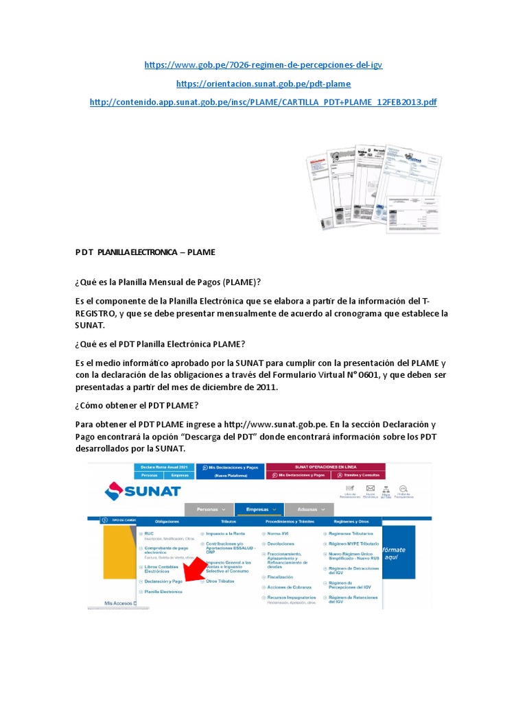 Guía para usar el PDT PLAME | PDF