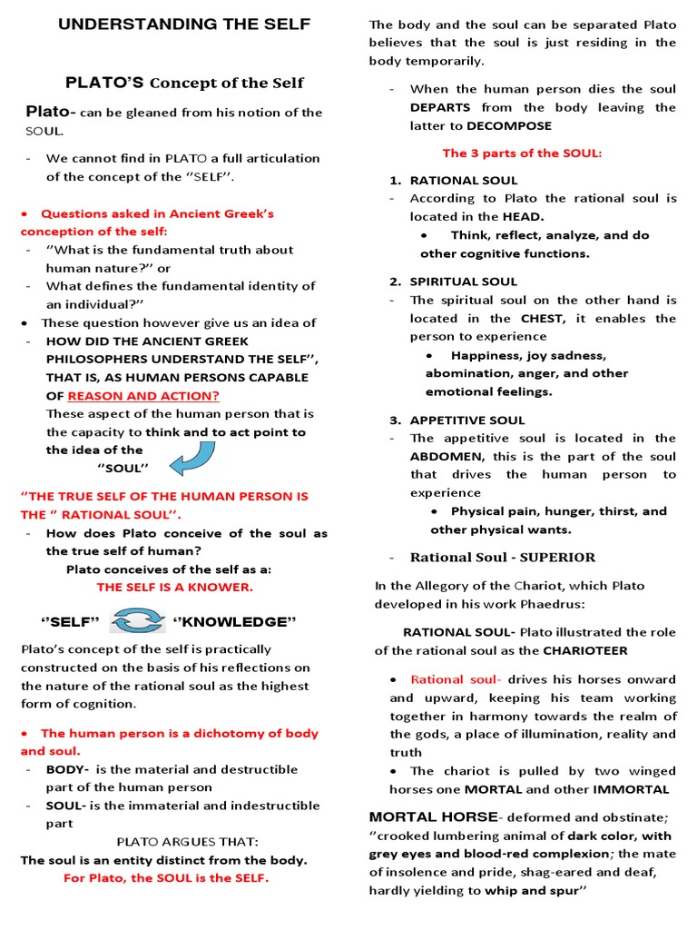 Reviewer Understanding The Self | PDF | Philosophy Of Self | Soul