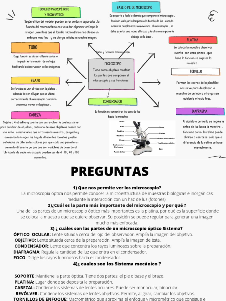 Partes y Funciones Del Microscopio | PDF | Lente de la cámara | Óptica