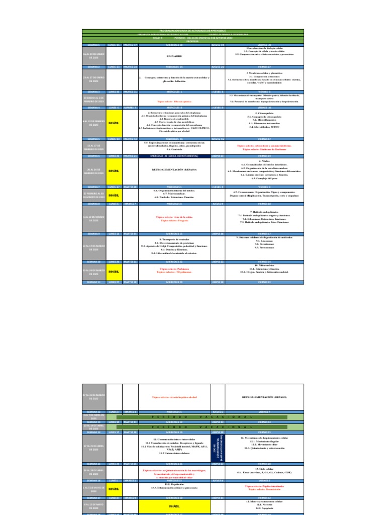 Cronograma Biocel | PDF | Nucleo celular | Biología Celular)