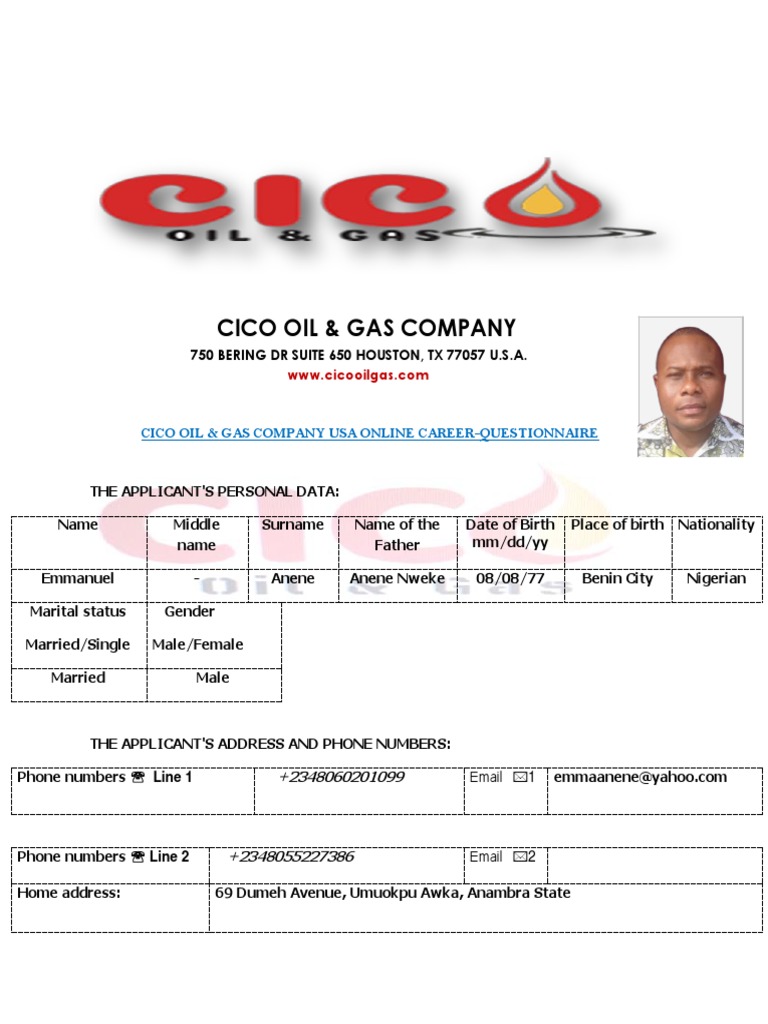 A Comprehensive Online Career Questionnaire for an Experienced Project ...