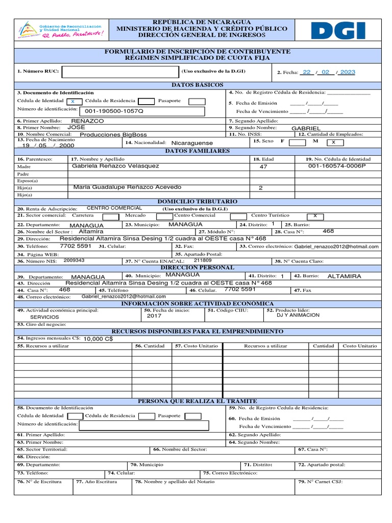 Formulario Dgi11 | PDF