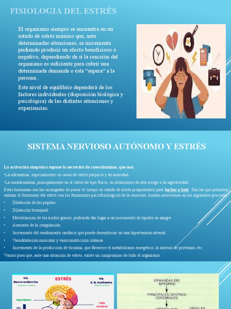 Clase F. Del Estres 15 Min | PDF | Estrés (biología) | Fisiología