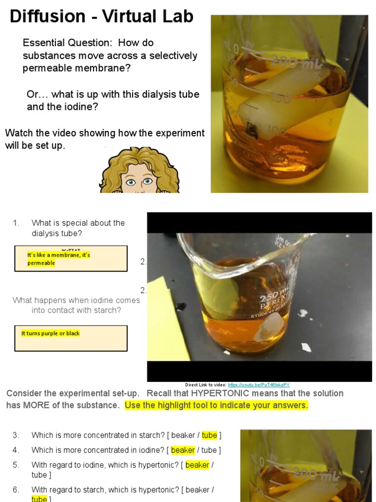 Diffusion - Virtual Lab | PDF | Biochemistry | Chemistry
