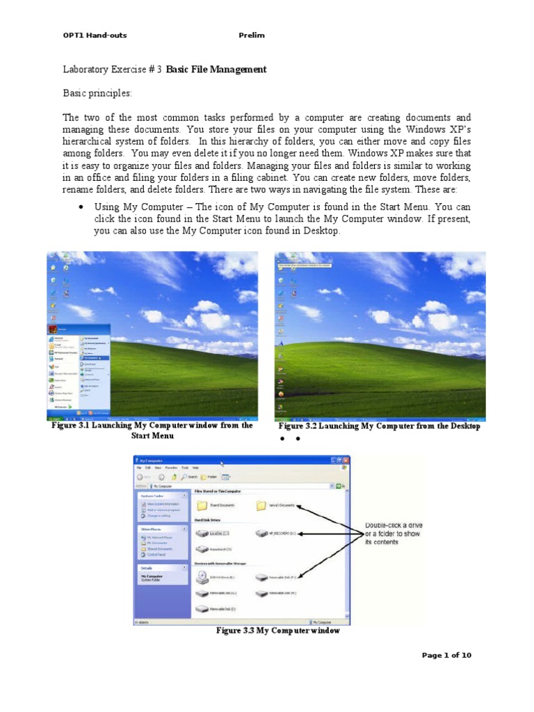 Laboratory Exercise #3 - Basic File Management | PDF | Icon (Computing ...