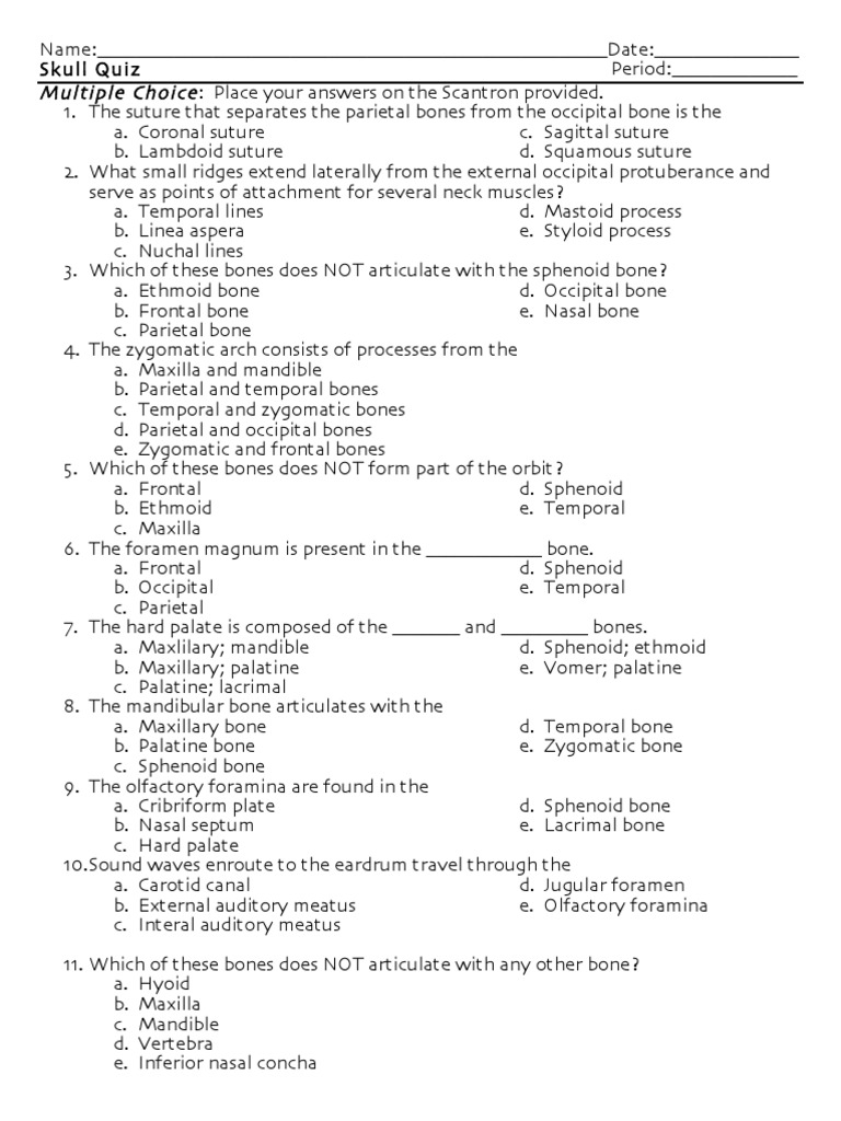 Skull Quiz | PDF | Skull | Human Head And Neck