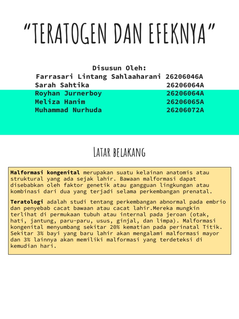 Kelompok 2 - Teratogen Dan Efeknya | PDF