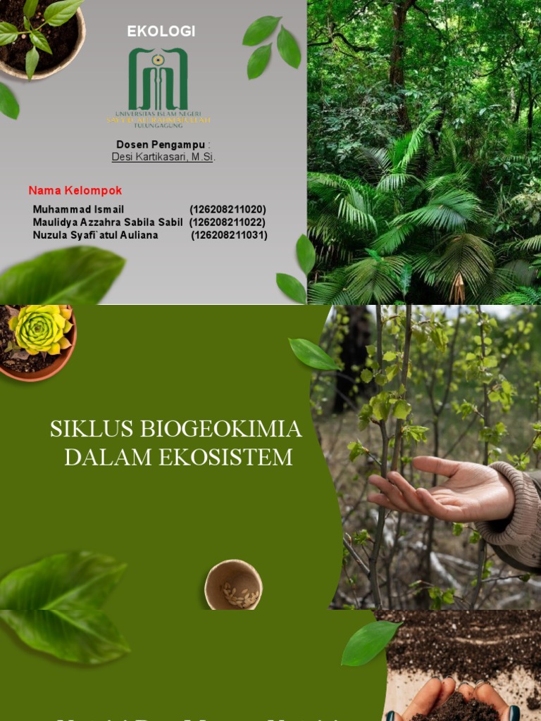 Kelompok 7 Siklus Biogeokimia Ekologi | PDF
