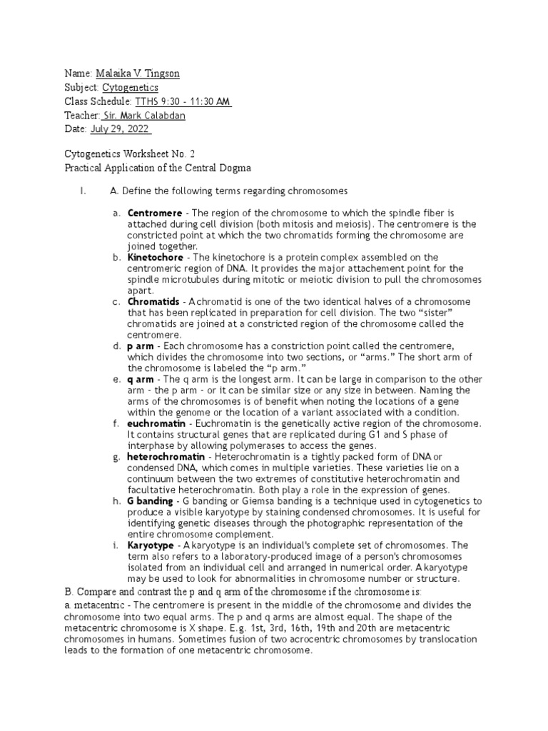 CYTOGENETICS Worksheet 2 Central Dogma | PDF | Chromosome | Karyotype