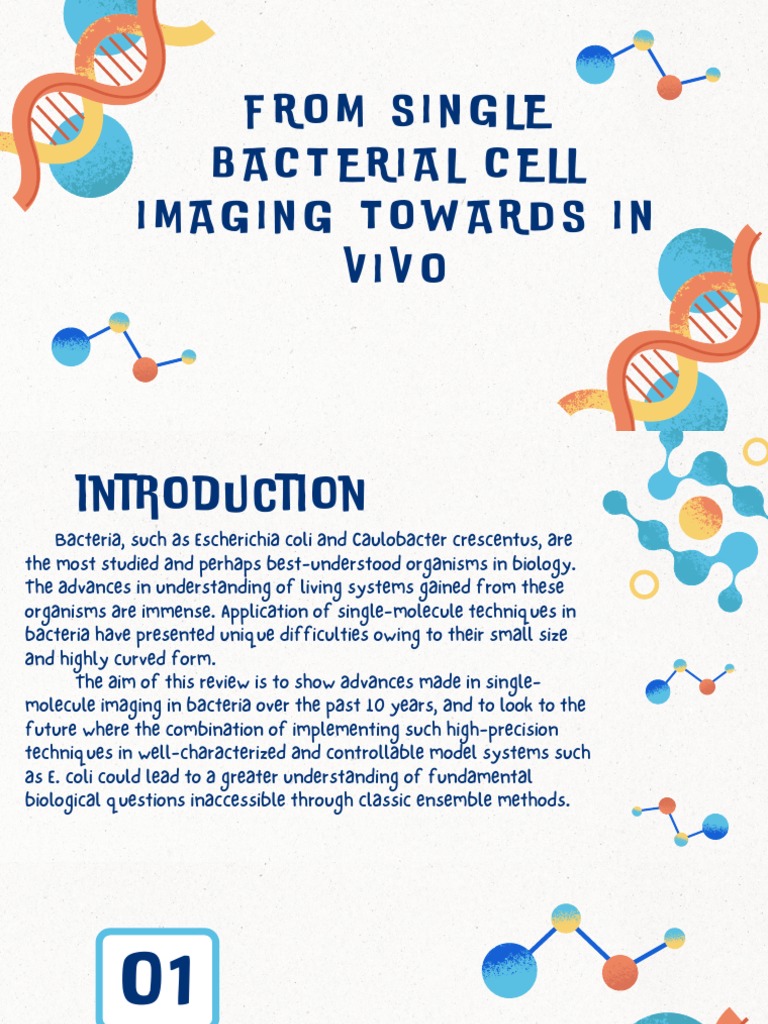 Orange and Blue Doodle Science Project Presentation | PDF ...