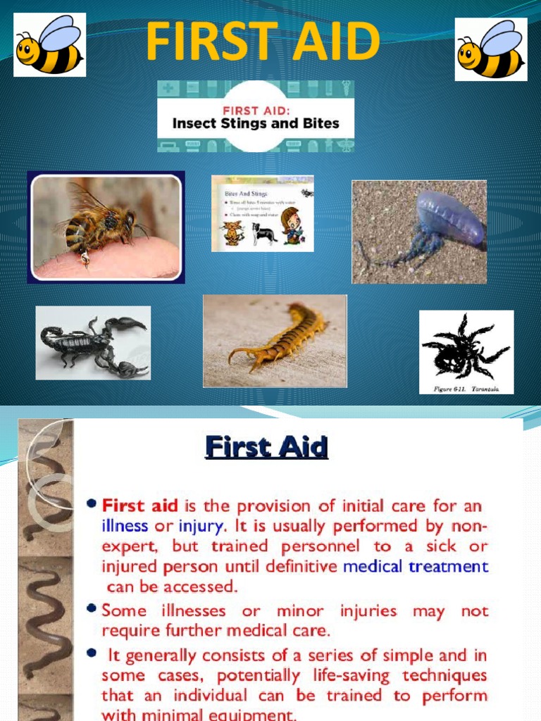 First Aid For Insect Bites | PDF