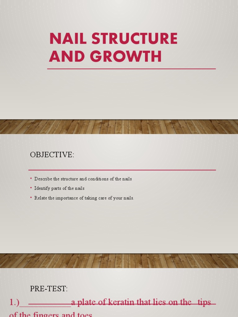 2 Nail and Its Structure | PDF | Nail (Anatomy) | Skin