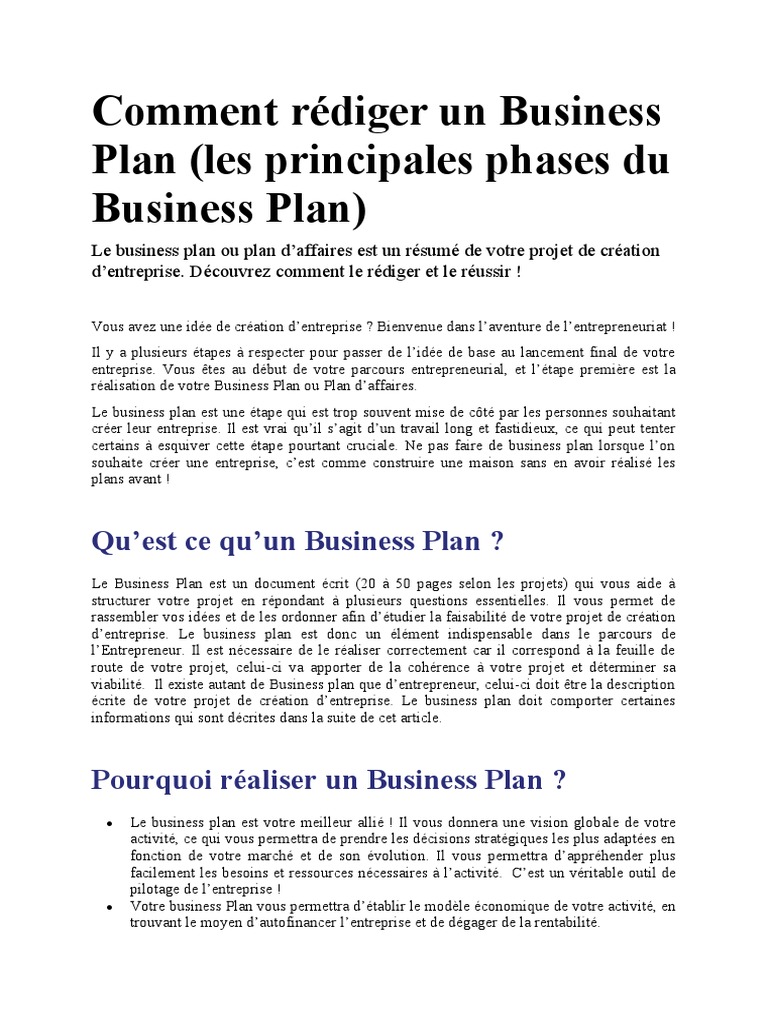 Rédiger Un Business Plan | PDF | Plan d'affaires | Stratégie marketing
