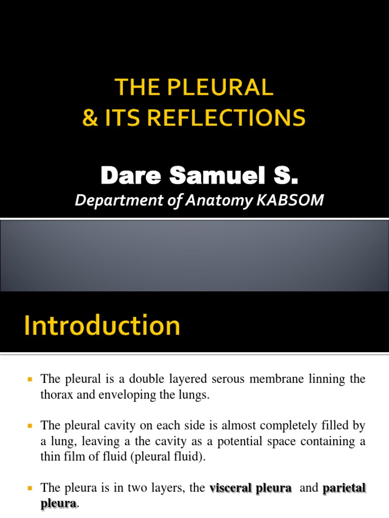Pleura Its Reflections | Download Free PDF | Lung | Thorax (Human Anatomy)