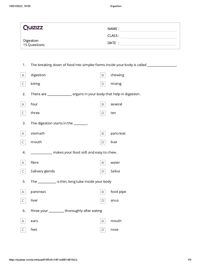 Revision Worksheet-Digestion | PDF | Digestion | Gastrointestinal Tract