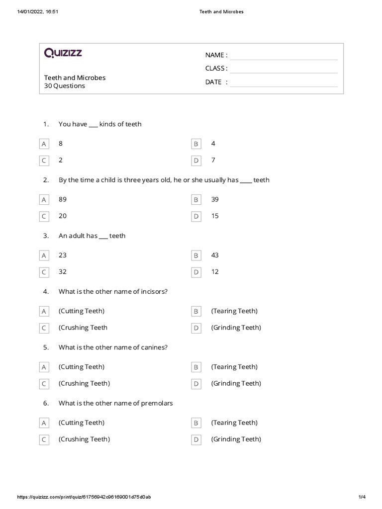 Revision Worksheet-Teeth and Microbes | PDF | Tooth | Tooth Enamel
