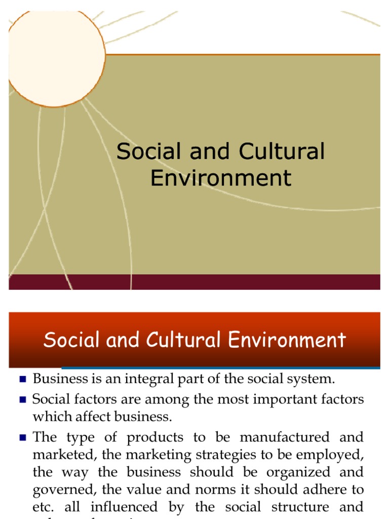 Social and Cultural Environment | PDF | Business Ethics | Business
