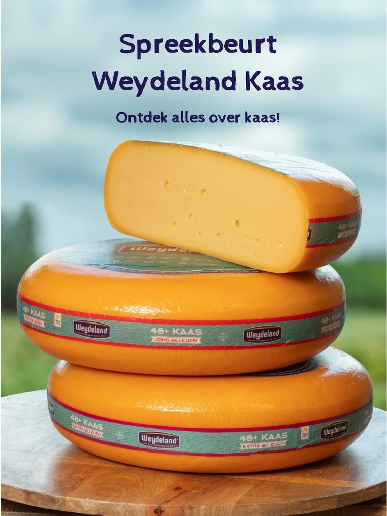 Kaas in de Maas | PDF
