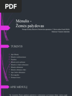 Sandra Janusoniene - Baltu Zenklai Ir Simboliai | PDF