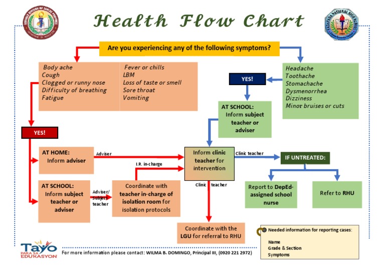 Health Flow Chart | PDF | Health Care | Health Sciences