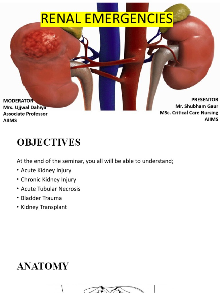 Renal Emergencies | PDF | Transplant Rejection | Kidney Transplantation