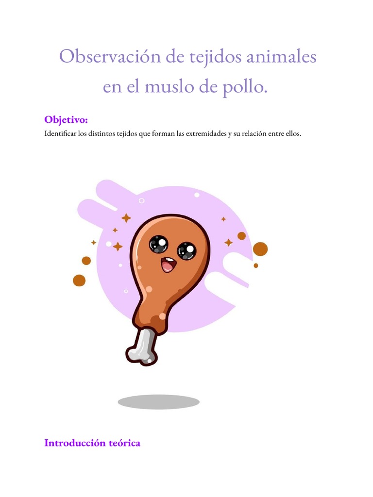 Disección Muslo de Pollo Informe | PDF | Hueso | Músculo