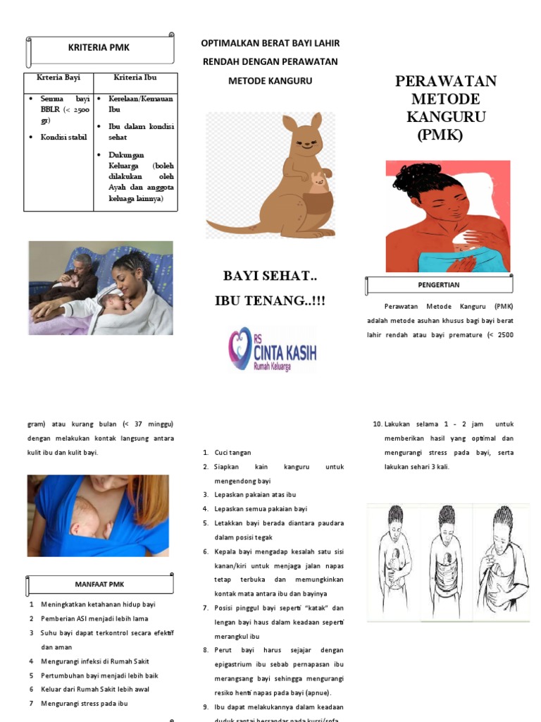 Leaflet PMK | PDF