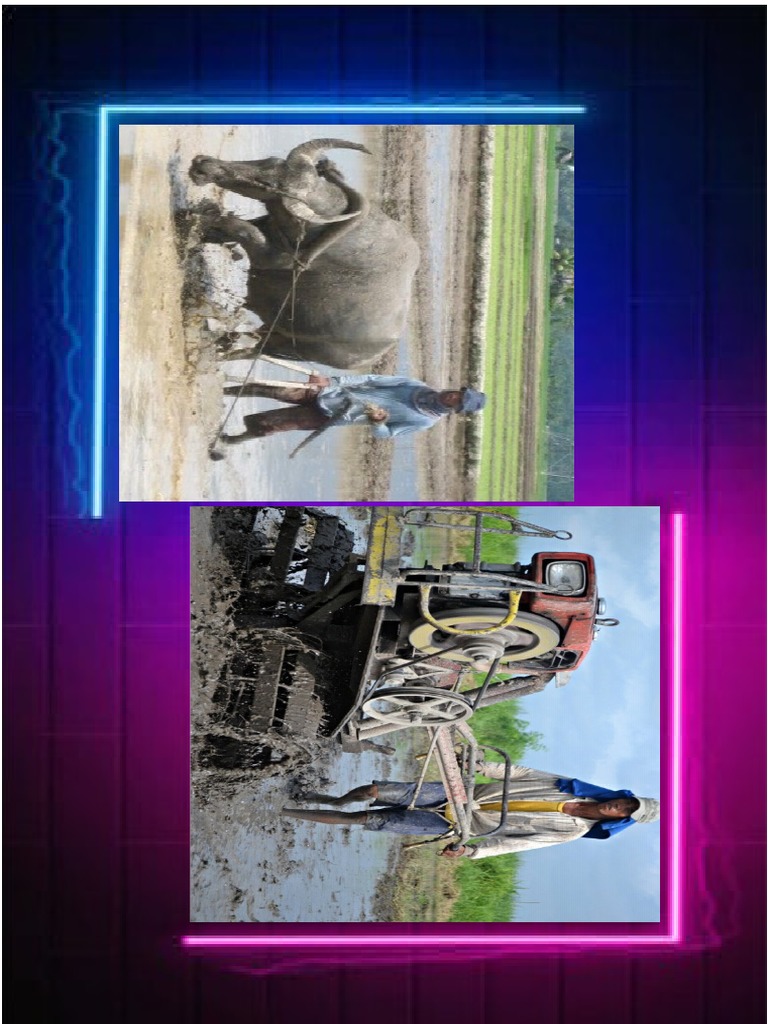 Before and After | PDF