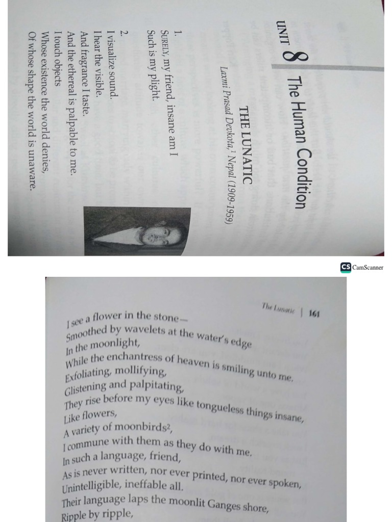 Pagal Poem by Laxmi Prasad Devkota | PDF
