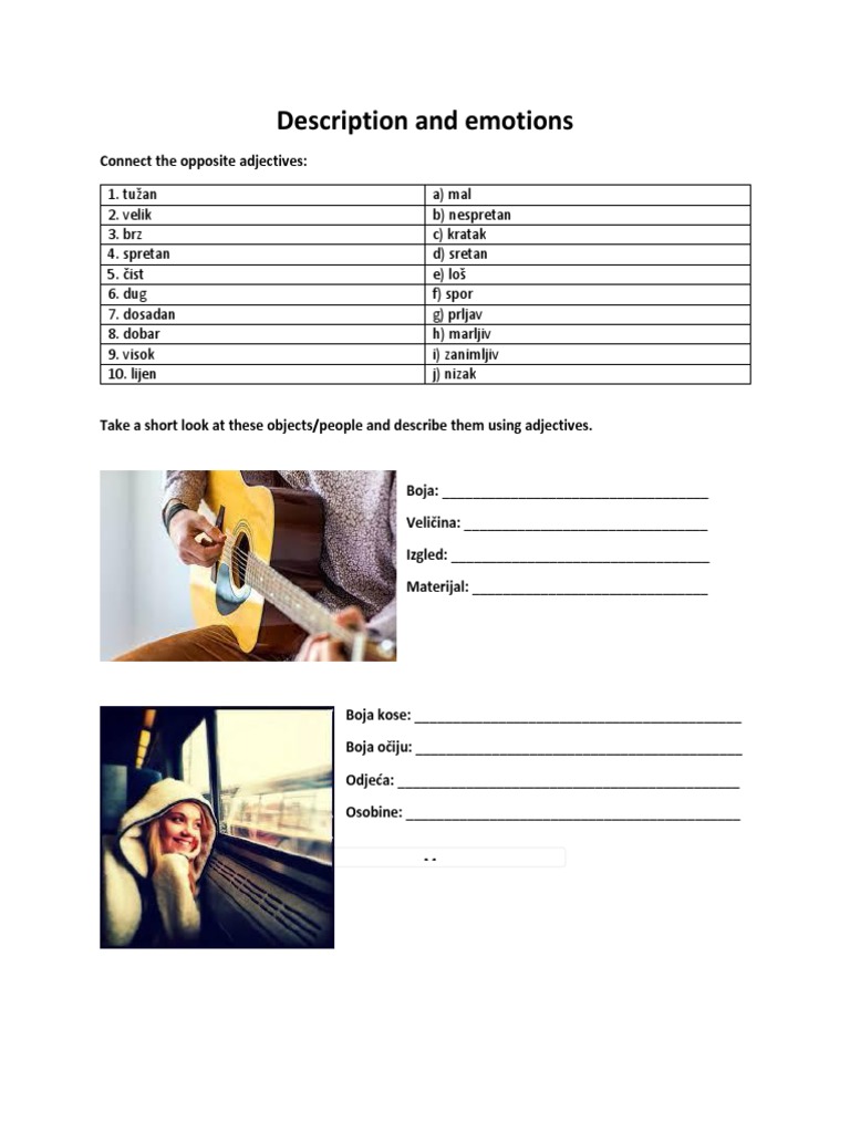 Description and Emotions | PDF