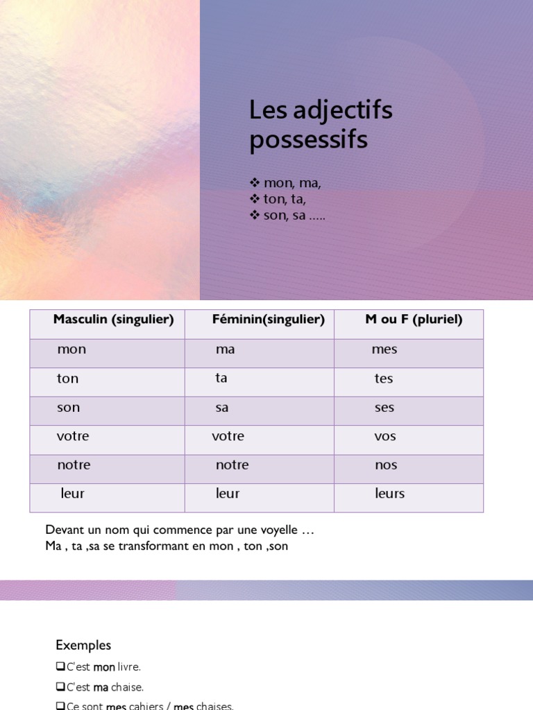 Adjectifs possessifs en français | PDF