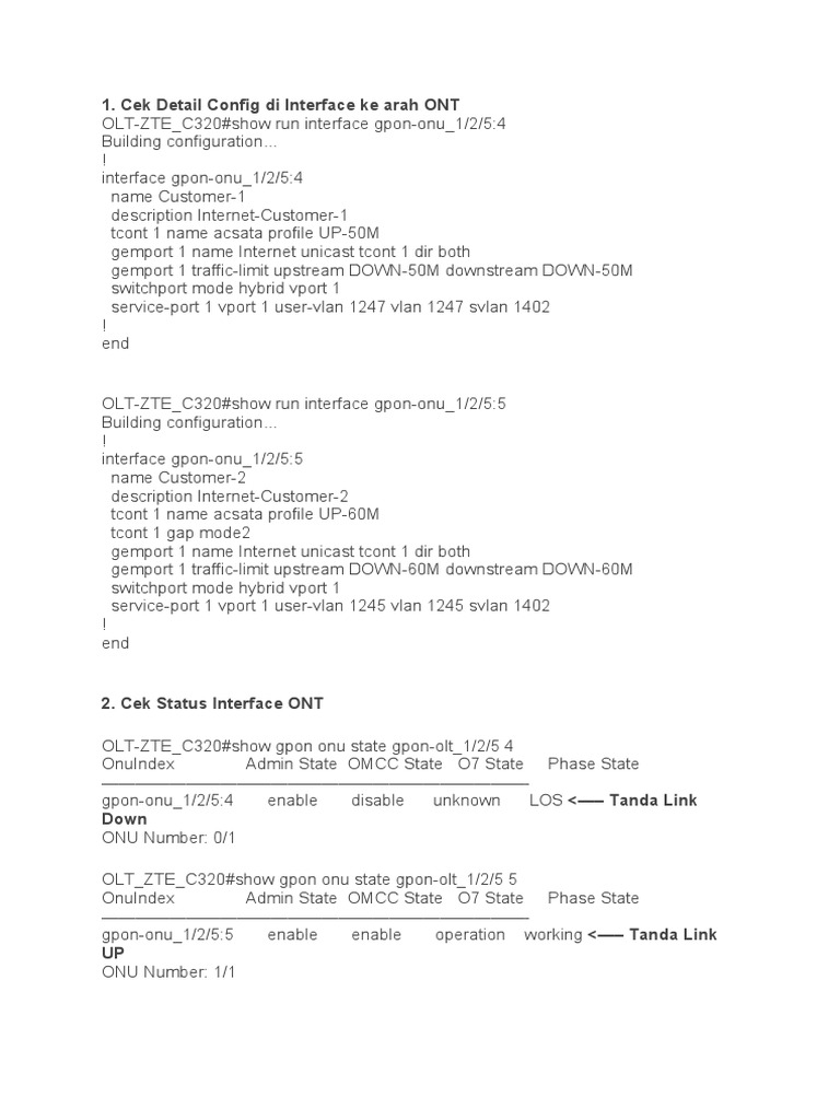 Manual Config OLT C320 | PDF | Internet Protocols | Telecommunications