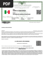 Llenado Op5 Op7 | PDF | Pasaporte | México