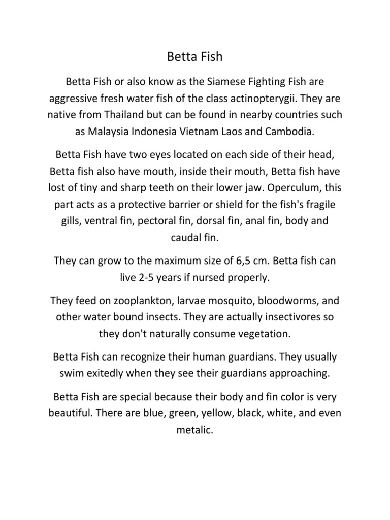 Betta Fish Care and Characteristics Guide | PDF