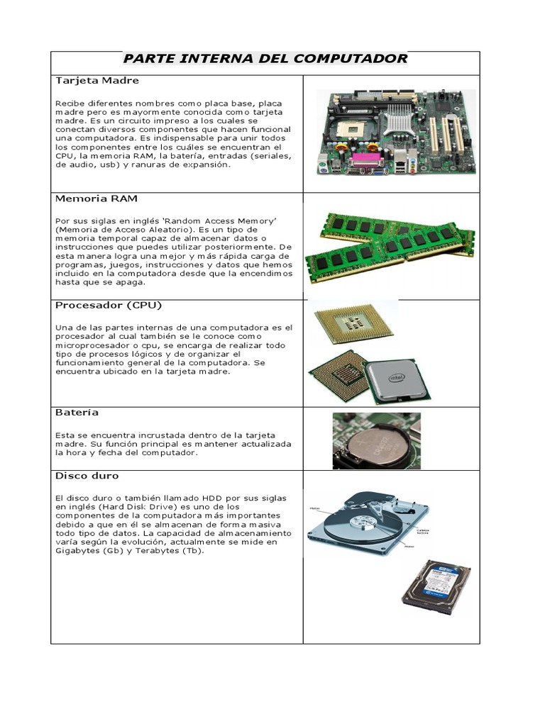 Partes Internas de una Computadora | PDF | Hardware de la computadora ...