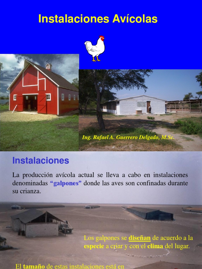 Diseño de Instalaciones Avícolas | PDF | Clima | Granero