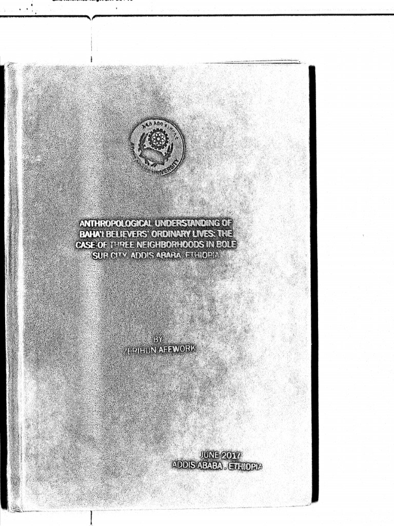 Zerihun Afework | PDF | Qualitative Research | Émile Durkheim