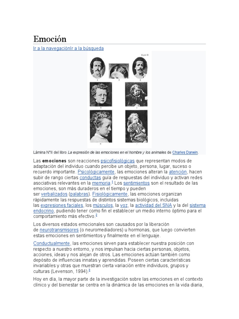 Emoción Pdf Las Emociones Amígdala