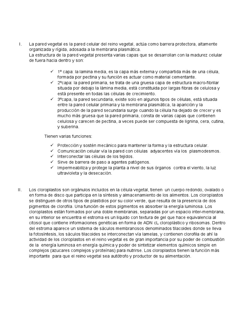 Anatomia Vegetal | PDF | Raíz | Citoplasma