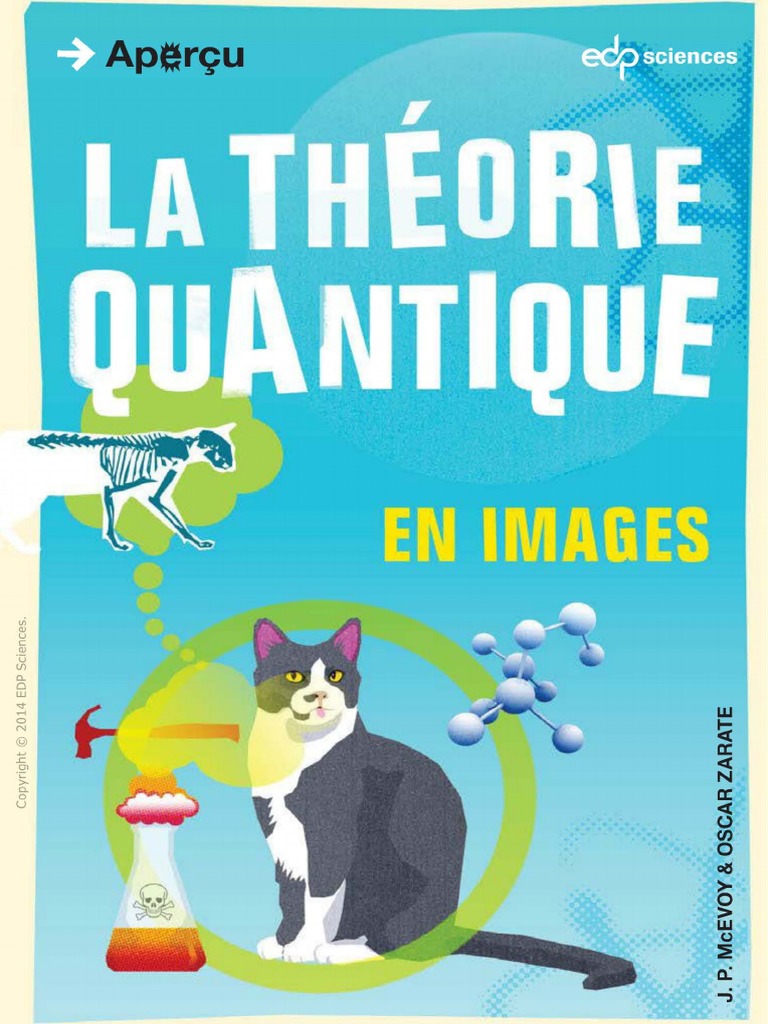 La Théorie Quantique en Images - Wawacity.ninja | PDF
